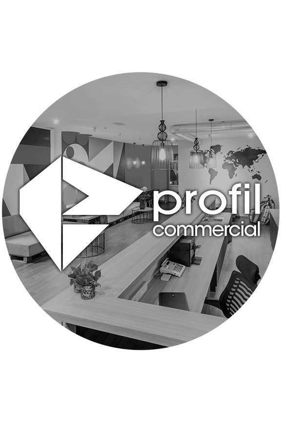 Profil Commercial - Groupe Profil